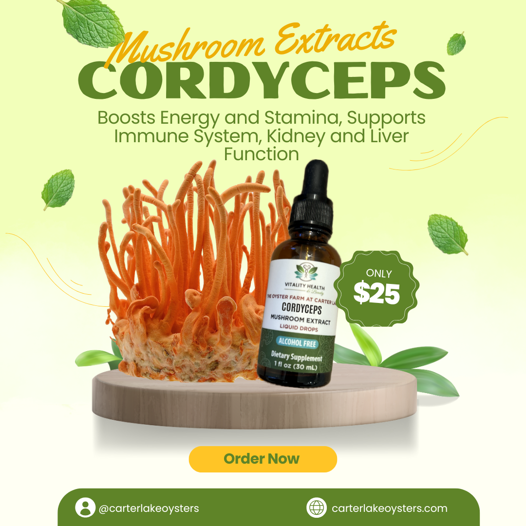 Cordyceps Extract – The Oyster Farm at Carter Lake